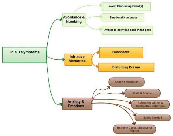 PTSD Signs and Symptoms Flow Chart | The Battle Buddy Foundation